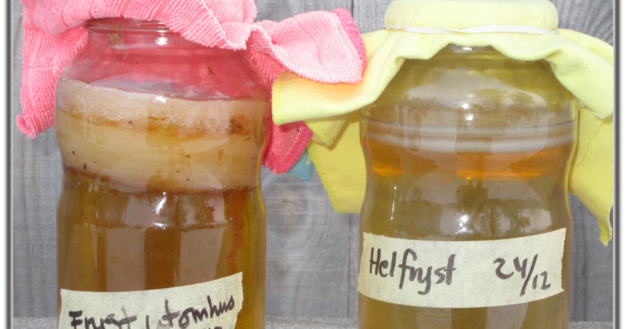 Gör egen kombucha! Scoby svamp till salu, skickas med vanlig post på 1 ...