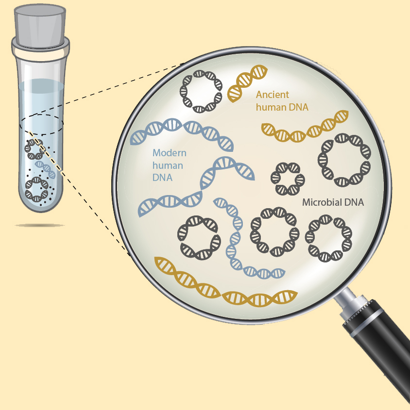 The ZerrKing: Everything Worth Knowing About ... Ancient DNA
