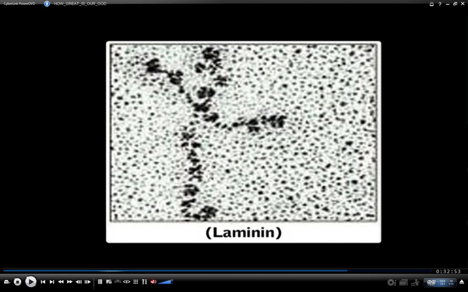 Dobbie's Skeptics vs Bible Believers: 77 Is Laminin the mark of the ...