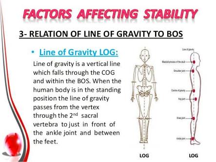 Line of Gravity (LOG)