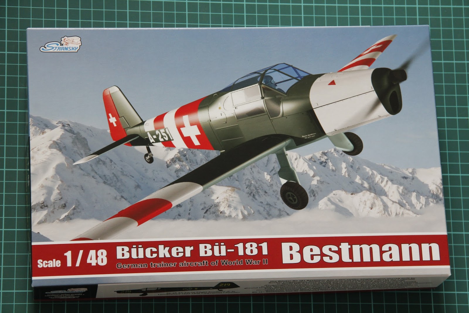 Stransky 1/48 Bucker Bu-181 Bestmann (ST41016) - DetailScaleView