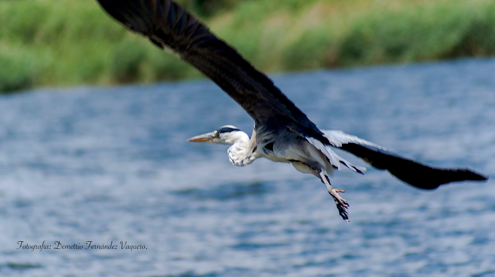 Turismo otoñal por Extremadura ecológica - Agua, Garzas y cigüeñas - 3 ...