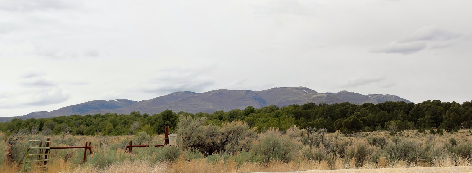 Janie and Steve, Utah Trails: Elk on Tabby Mountain