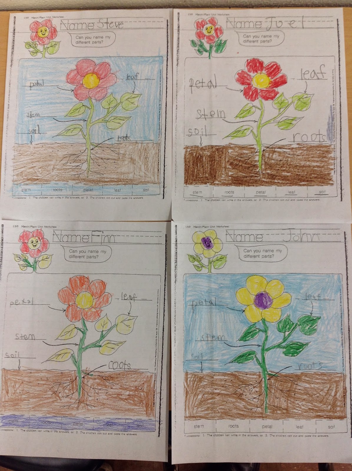 The "Th" Digraph and Plants