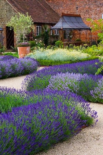 Lavender & Yarrow with Decomposed granite paths