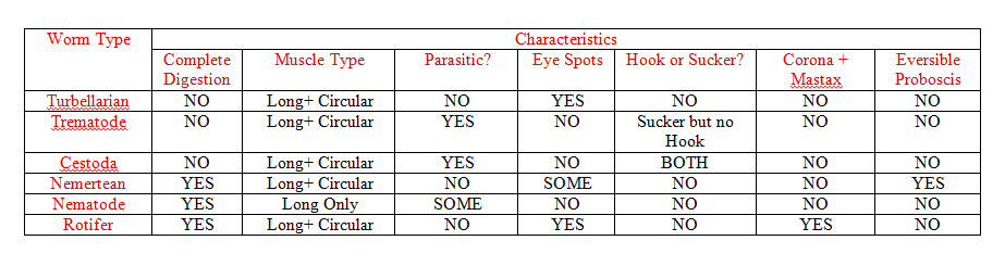 Blog of Science: Phylum Platyhelminthes / Nemertea/ Nematoda/ Rotifera