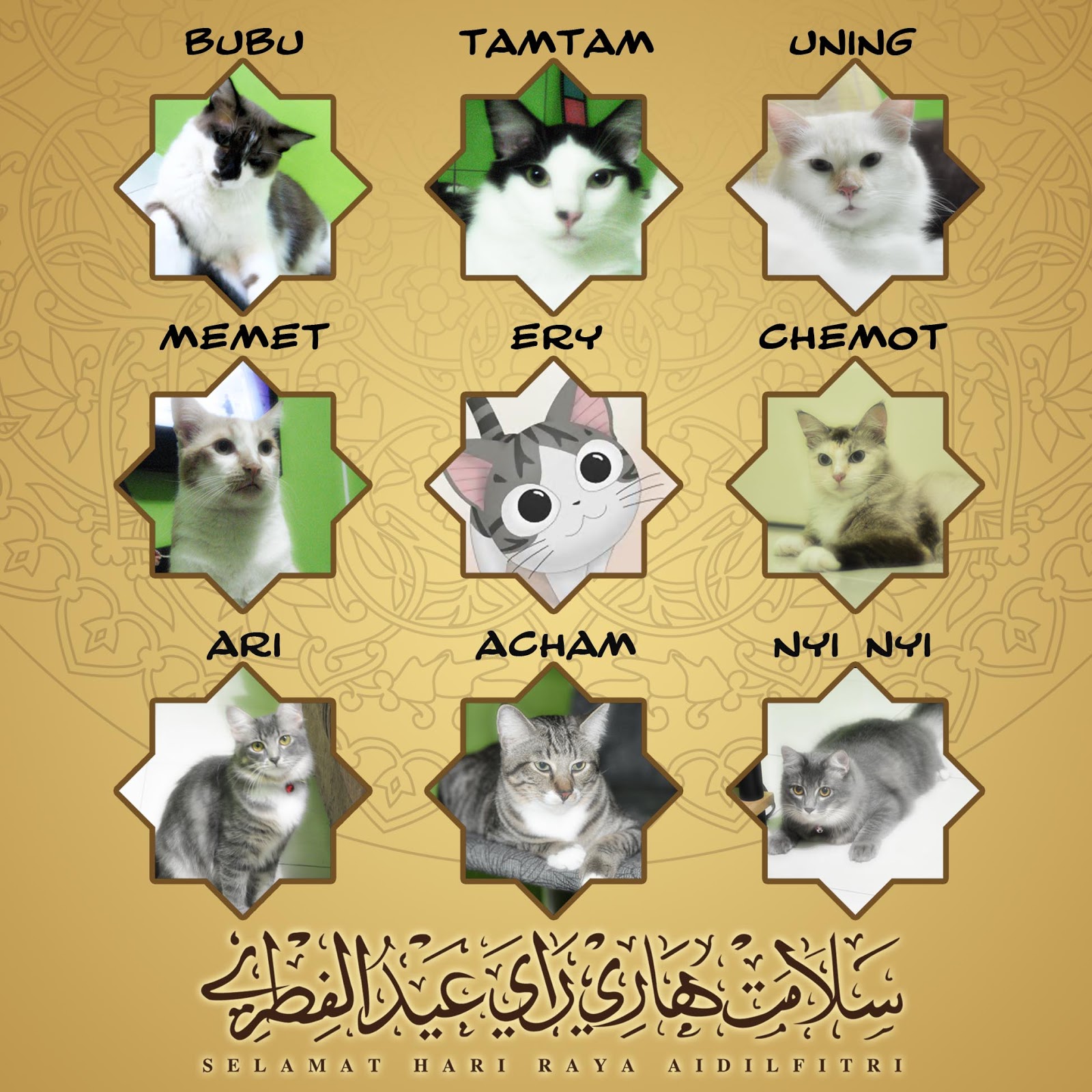 eRy D cAt: ~Selamat Hari Raya Aidilfitri~