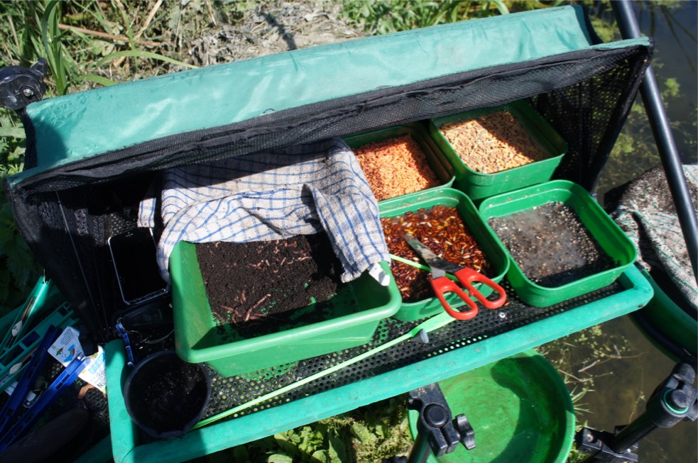 Fishing outside UK: 2016 - IVAN MARKS MEMORIAL MATCH - RIVER WITHAM