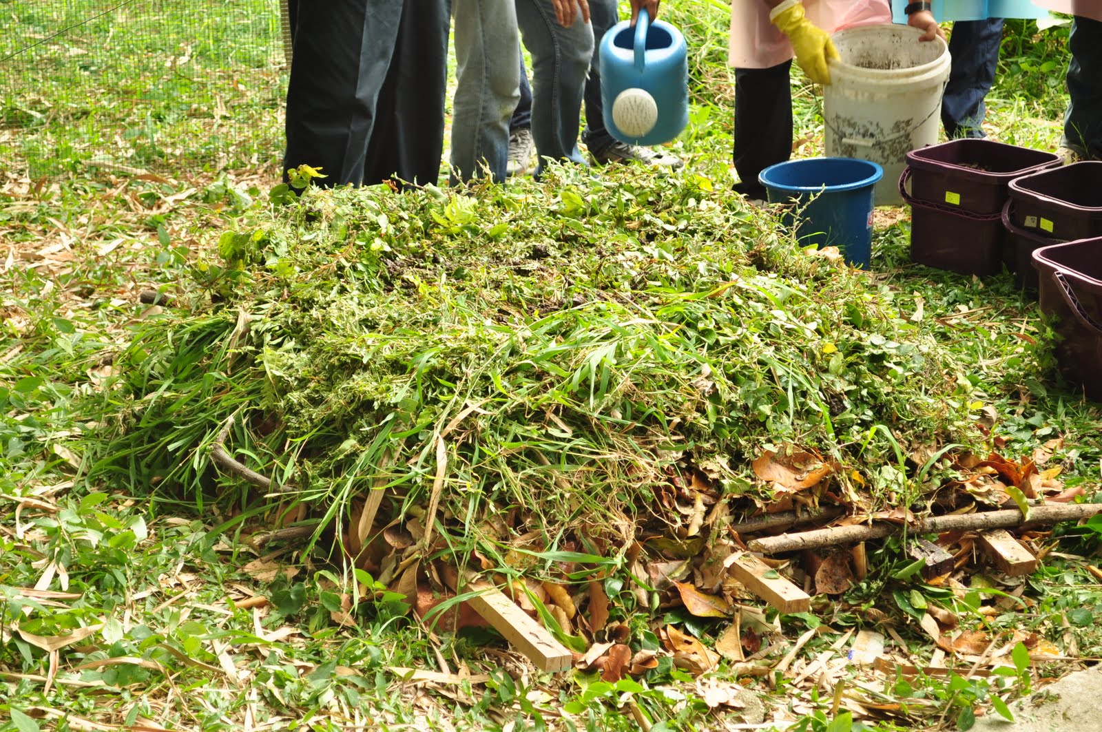 MEMUPUK GAYA HIDUP LESTARI DALAM KAWASAN KAMPUS DAN KEJIRANAN USM ...
