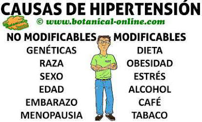 HIPERTENSION ARTERIAL: CAUSAS, FACTORES MODIFICABLES Y NO MODIFICABLES