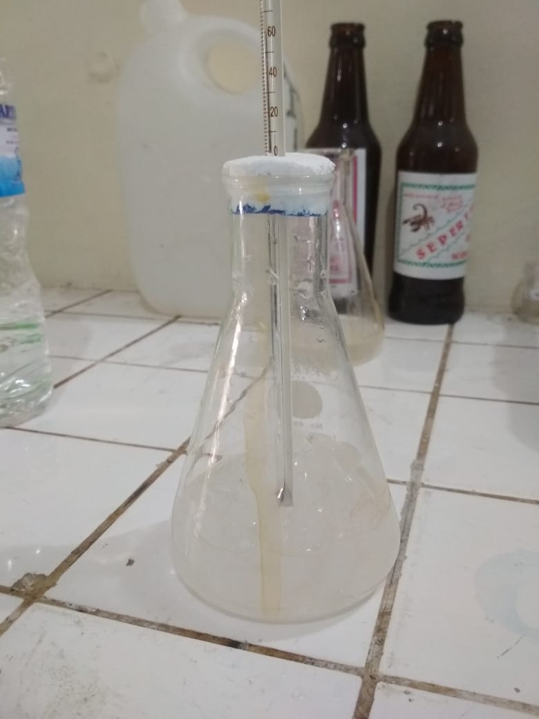 PRAKTIKUM KIMIA ORGANIK I: Laporan praktikum kimia organik I (Kalibrasi ...