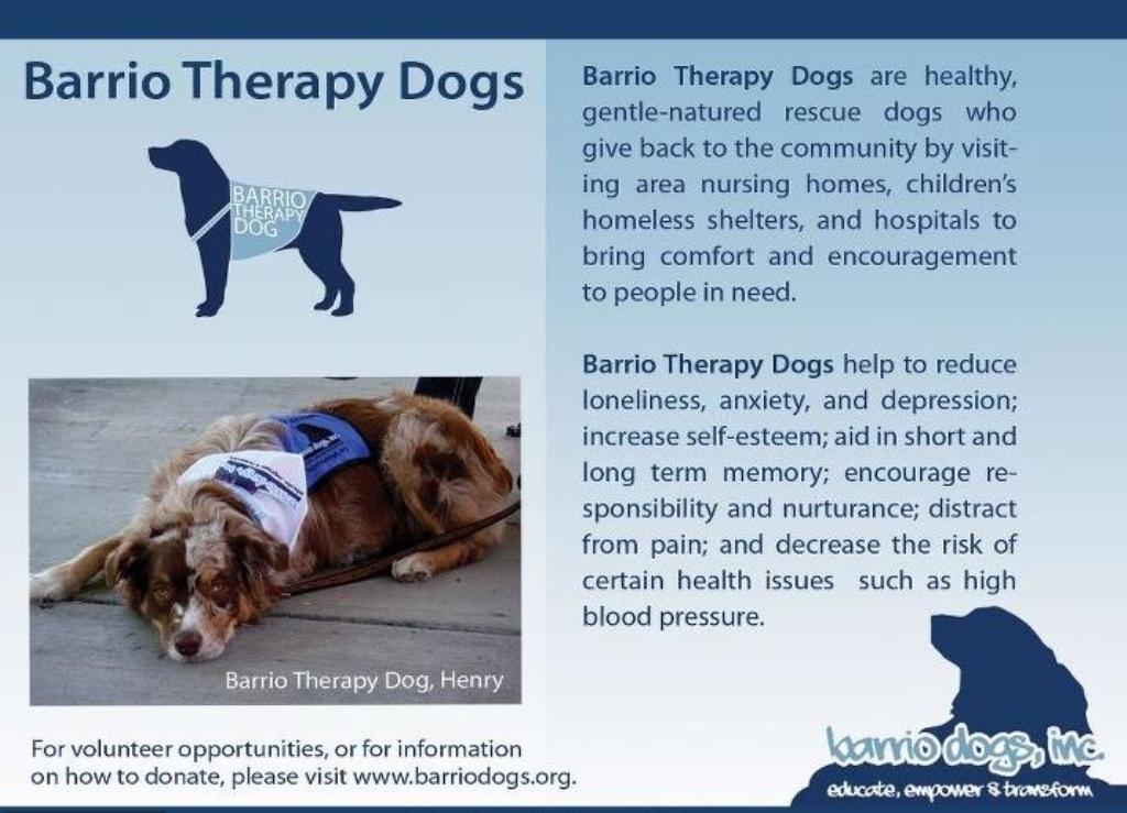 Barrio Dogs: Therapy Dog Program