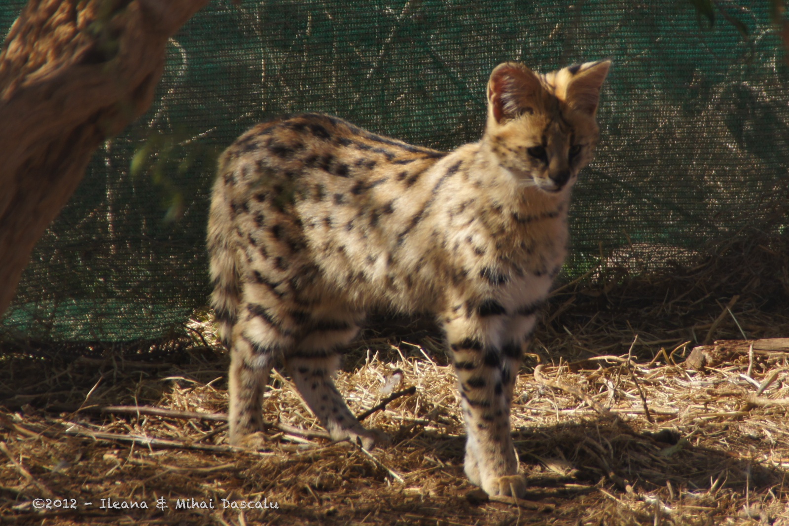 Noi6 Around-the-World: Journal of a nomad through Vasteland (3)