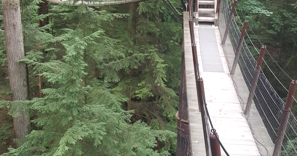 The Happy Pontist: Canadian Bridges: 6. Treetop Walkway, Capilano ...