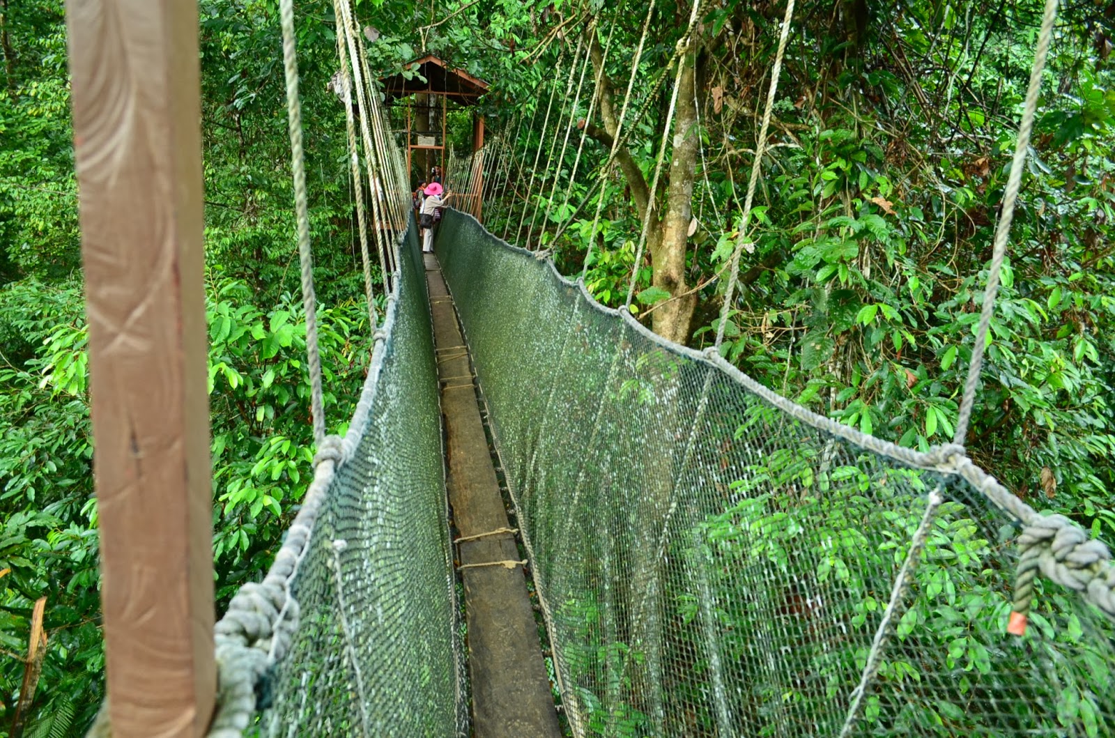 10 Tempat Menarik di Ranau, Sabah