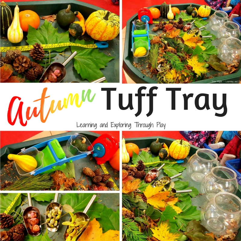 Learning and Exploring Through Play: Autumn Themed Tuff Tray