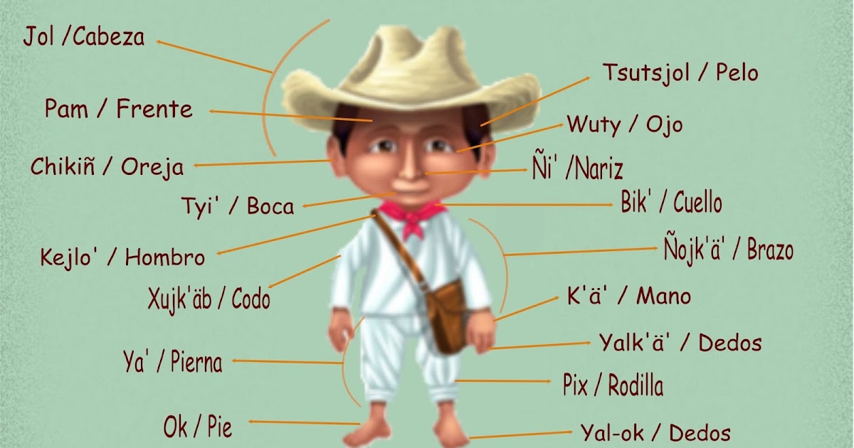 Reduciendo, Reusando y Reciclando Ayudamos al Mundo: partes del cuerpo chol