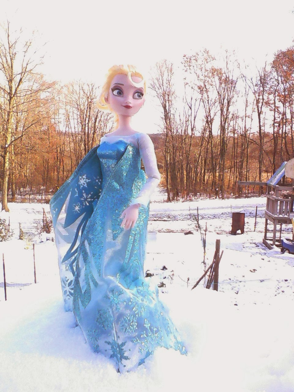 A Dolly a Day - Tips, reviews, and DIY tips for your dolls!: Frozen ...