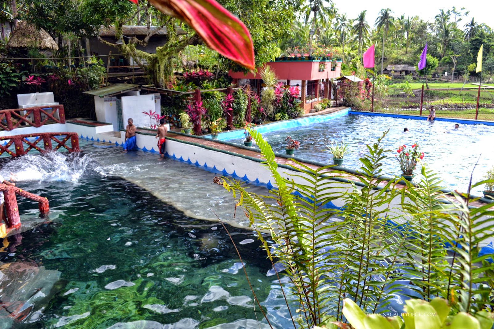 Buhi, CamSur: Sinagpan Spring Resort ~ Naga City Deck