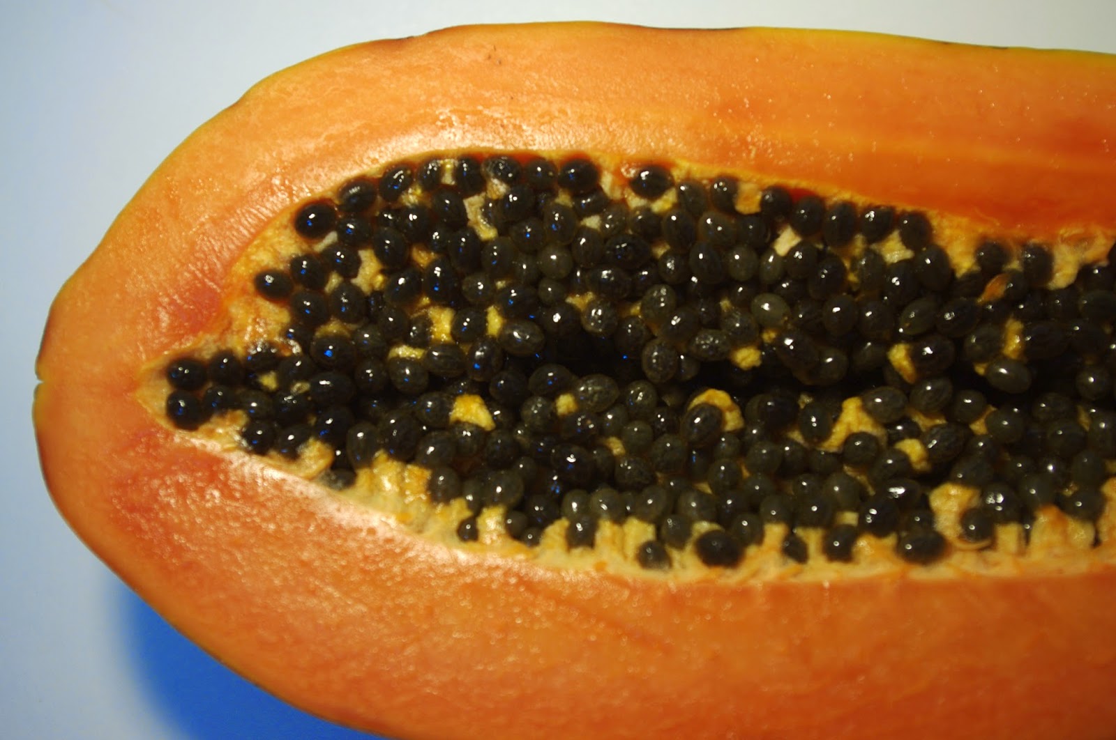 Explora Gourmet: Smoothie de papaya, pera y melón