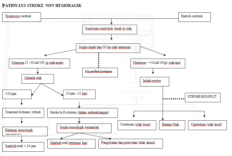 ASUHAN KEPERAWATAN STROKE NON HEMORAGIK: Askep Stroke Non Hemoragik(SNH)