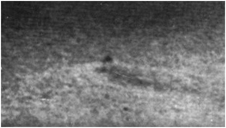 One Day. One Topic.: Loch Ness Monster