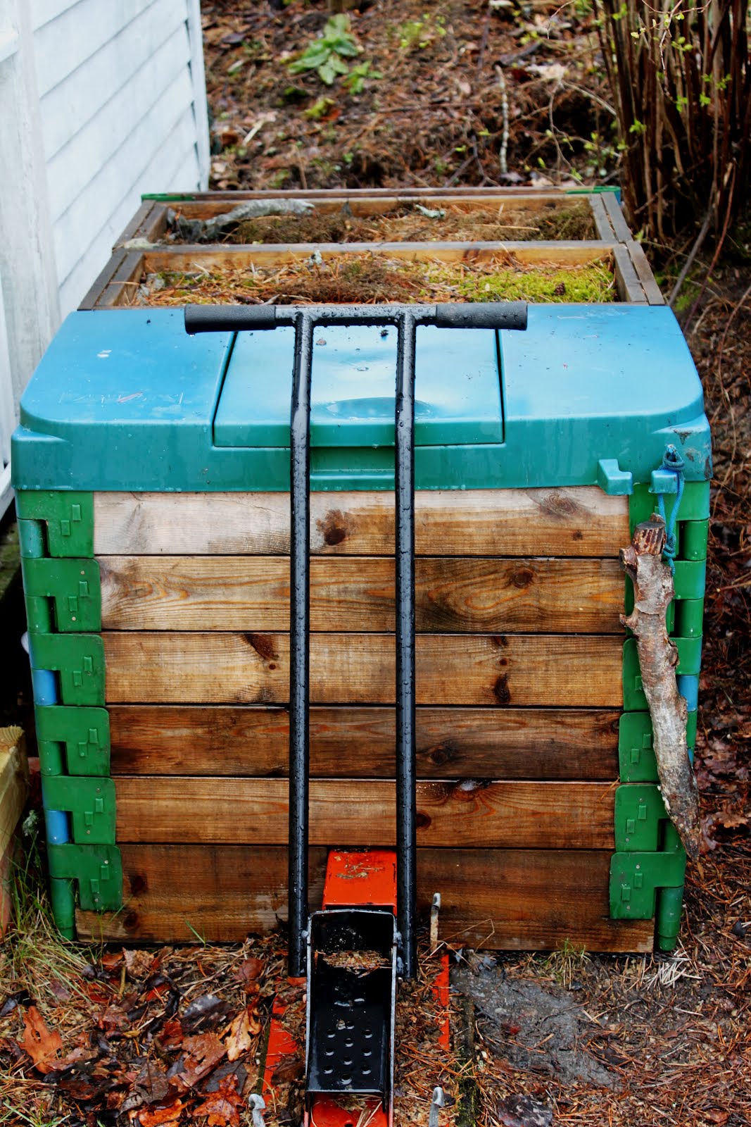 Mina trädgårdar: Livat i komposten (inget för äckelmagade)