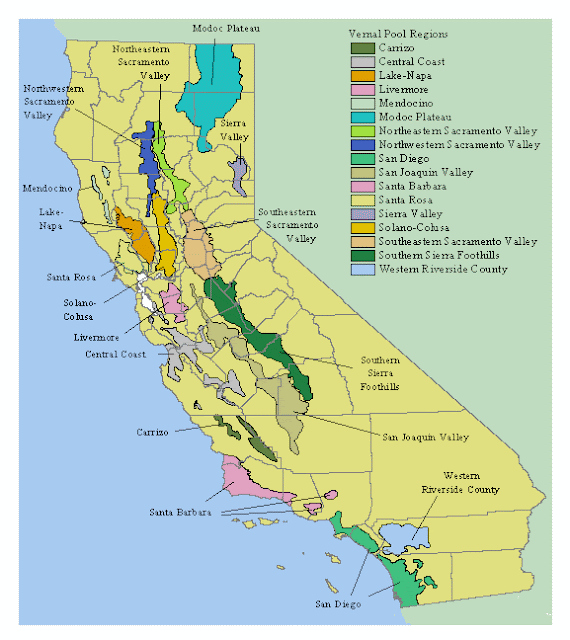California Vernal Pools
