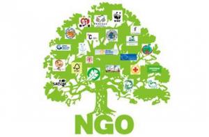Essay - Role of NGOs in India | Gr8AmbitionZ