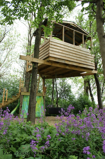 Family Farm Experience: DIY How to Build your own Treehouse