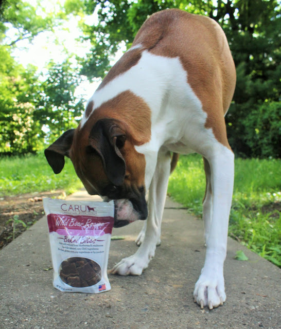 Dog Madness: Alle's Wild For Soft 'N Tasty Wild Boar Recipe Baked Bites