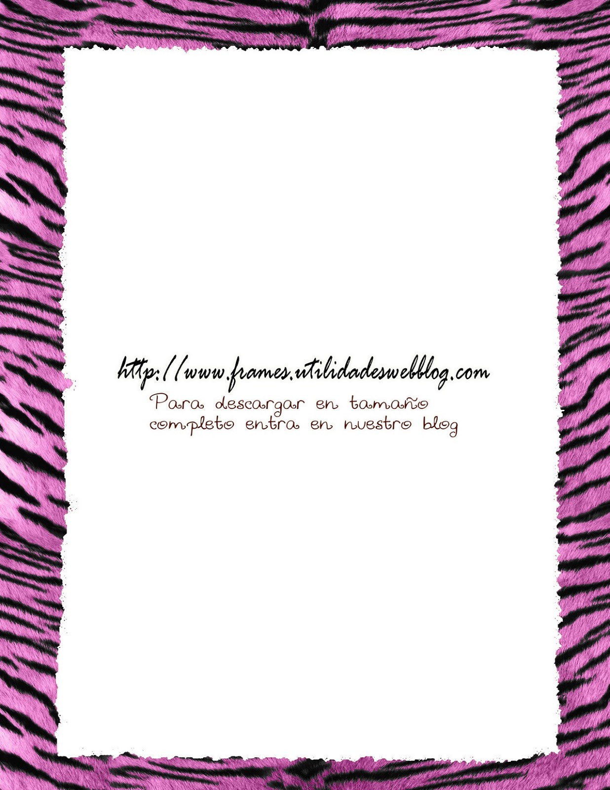 6 Marcos para fotos Animal Print de distintos colores | Photo Frames