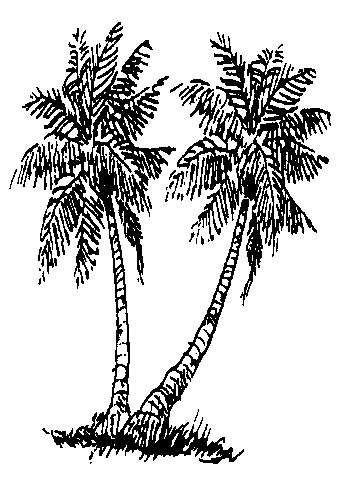 Sekitar Kawasan Sekolah: Gambar Outline_Bunga Pokok