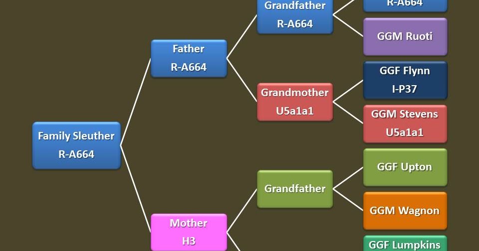 Family Sleuther: Building A Genetic Haplogroup Family Tree