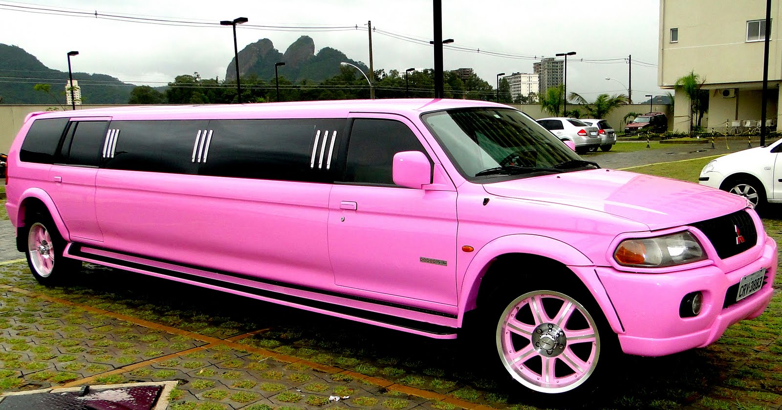 Limousine Rosa - Limo Princess: LIMOUSINE ROSA - Limo Princess