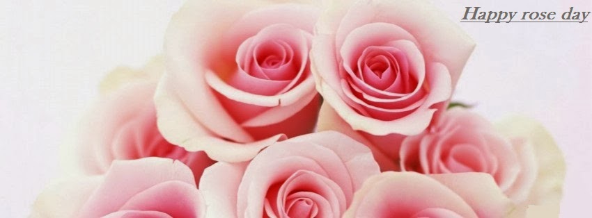 Rose Flowers Cover Photos For Facebook Timeline