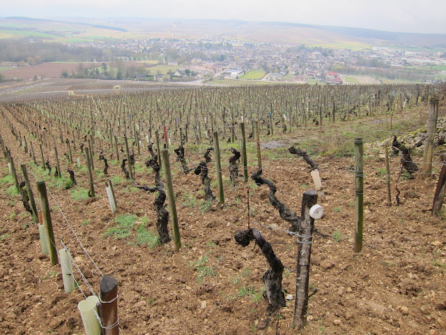 The Gray Report: The world comes to Chablis