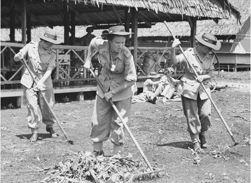 Our Tribute to the Brave: Group Photos of WWII