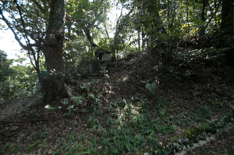 Nakamura Castle (Tosa) -History of island hero (5) Beat of benefactor ...