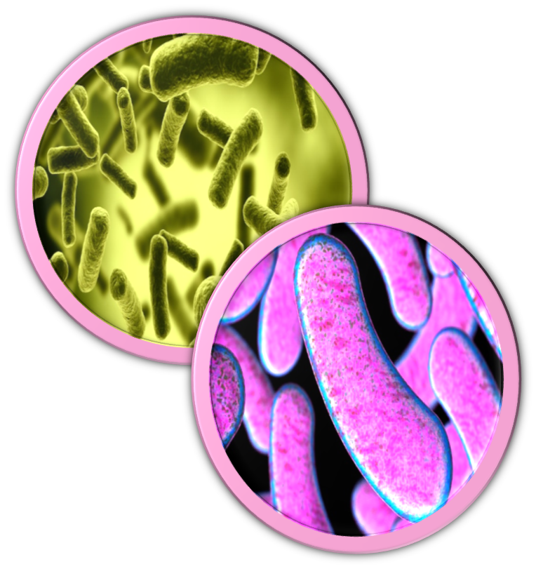 ¡Cuidemos la salud de todos!: Bacterias - BOTULISMO