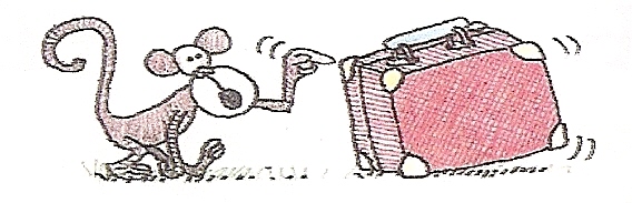 AlfabetizAção em Foco Oficial: Montagem Textual por frases e palavras