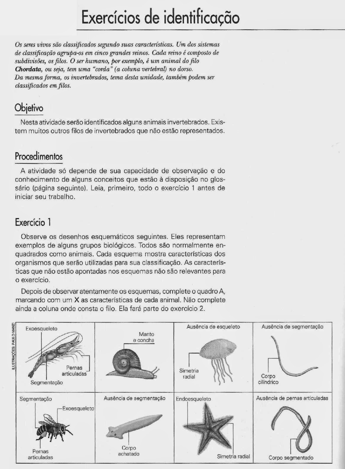 Atividades Caracteristicas Dos Seres Vivos - NAZAEDU