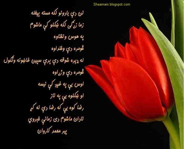 Beautiful Pashto Shayari ~ Wallpapers, Pictures, Fashion, Mobile, Shayari