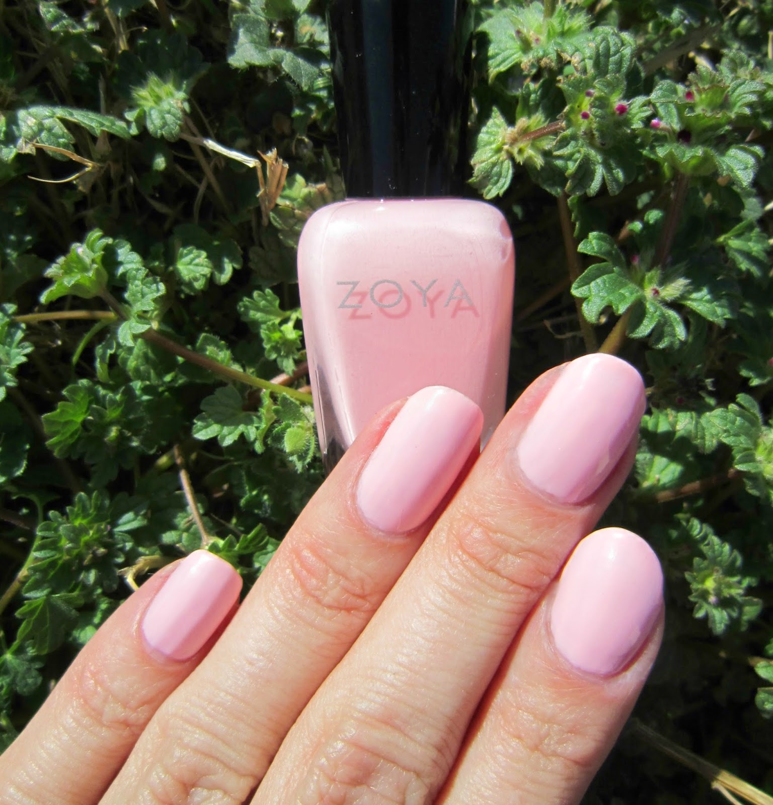 Zoya Dot