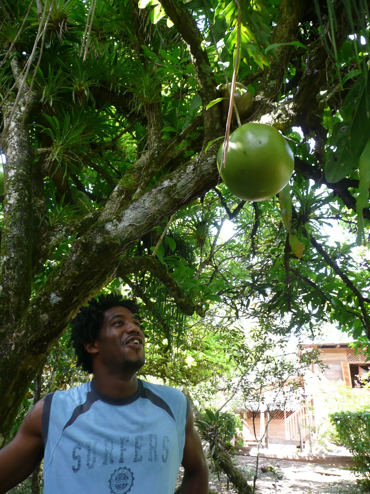 hoe lang en hoe ver: Bunter in de tropen XIV