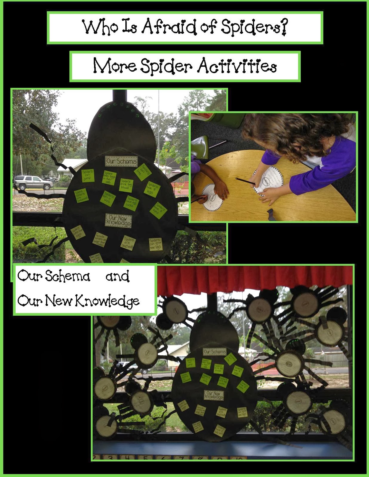 Golden Gang Kindergarten: Who Is Afraid of Spiders?