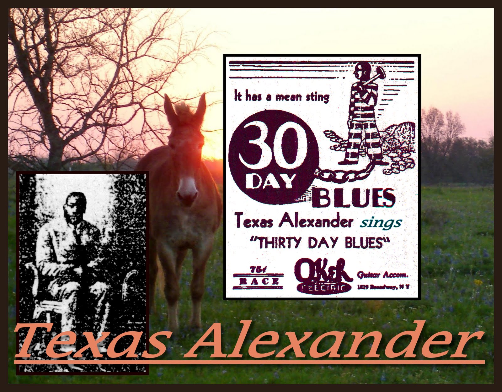 The NAVASOTA MUSIC LEGACY: Alger "Texas" Alexander