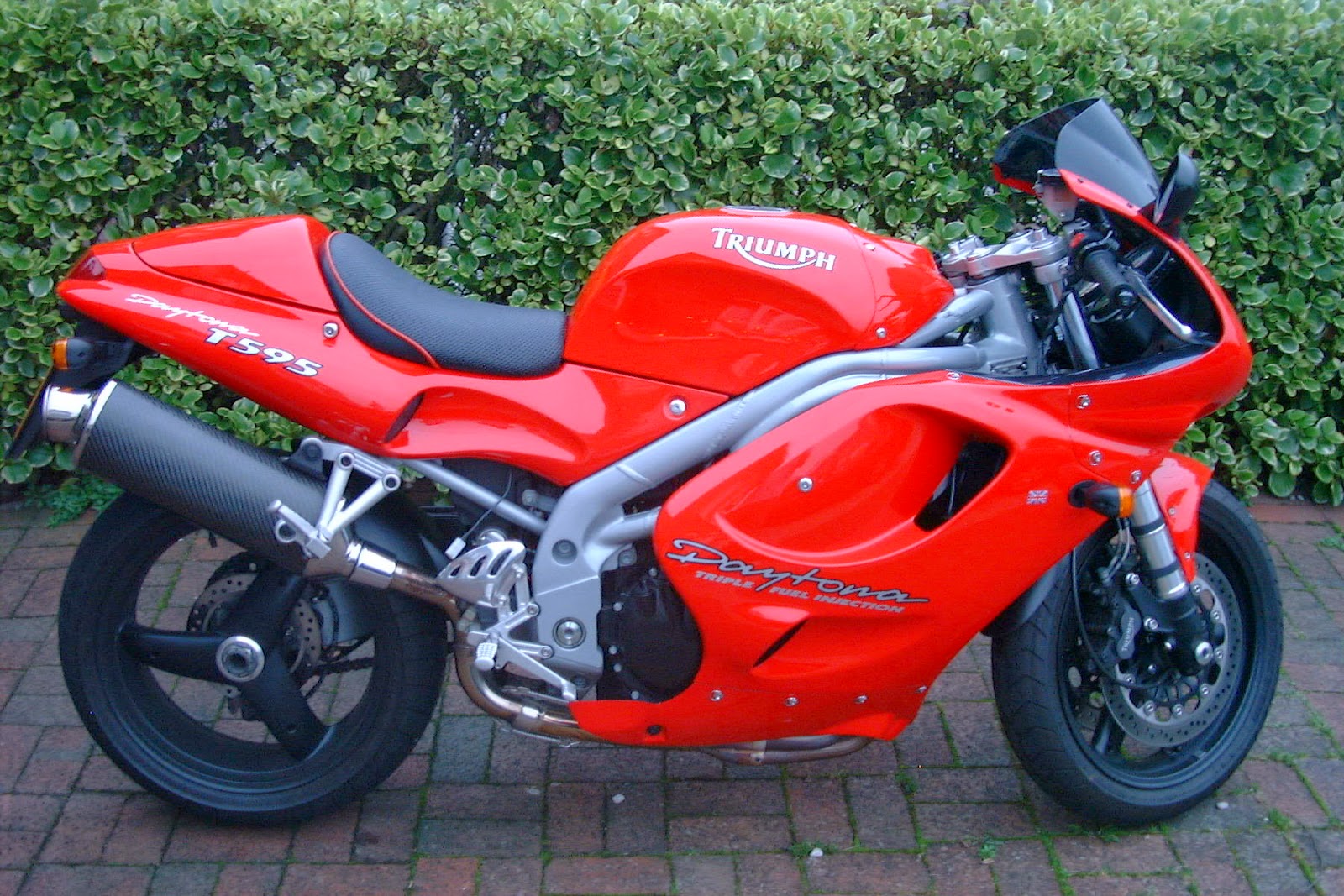 TRIUMPH DAYTONA | Collectibles Coach
