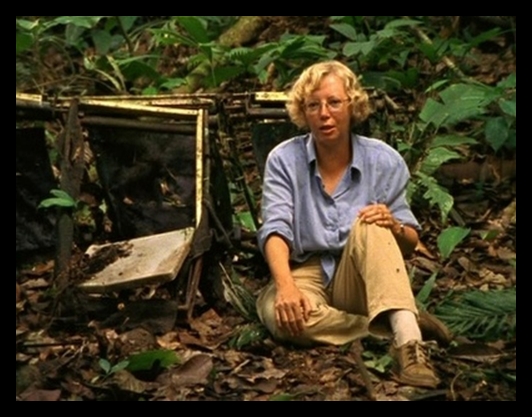 Elessandro De Almeida: FILME MIRACLES STILL HAPPEN A HISTORIA DE ...