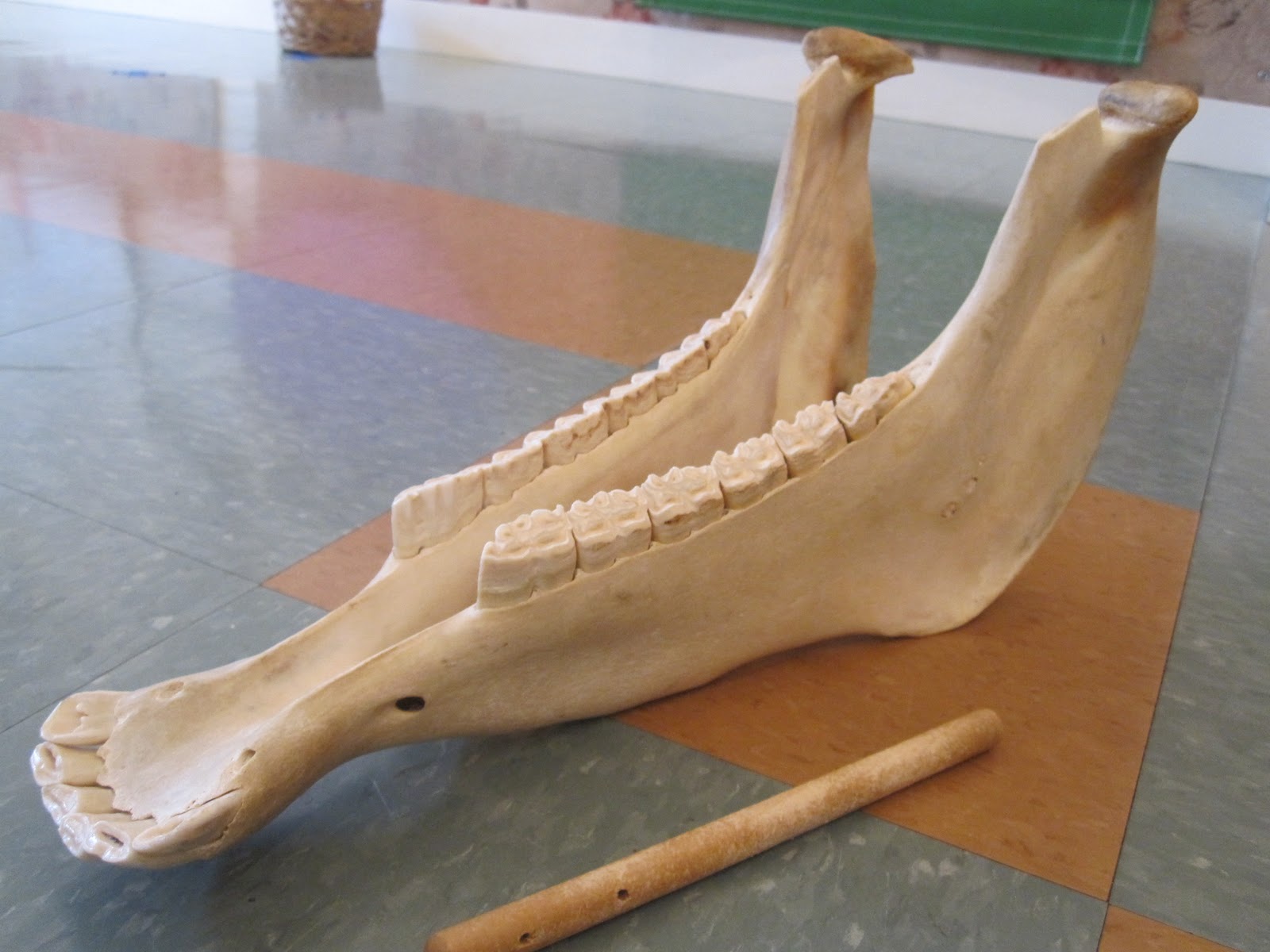 Make me Musical !: October 2011